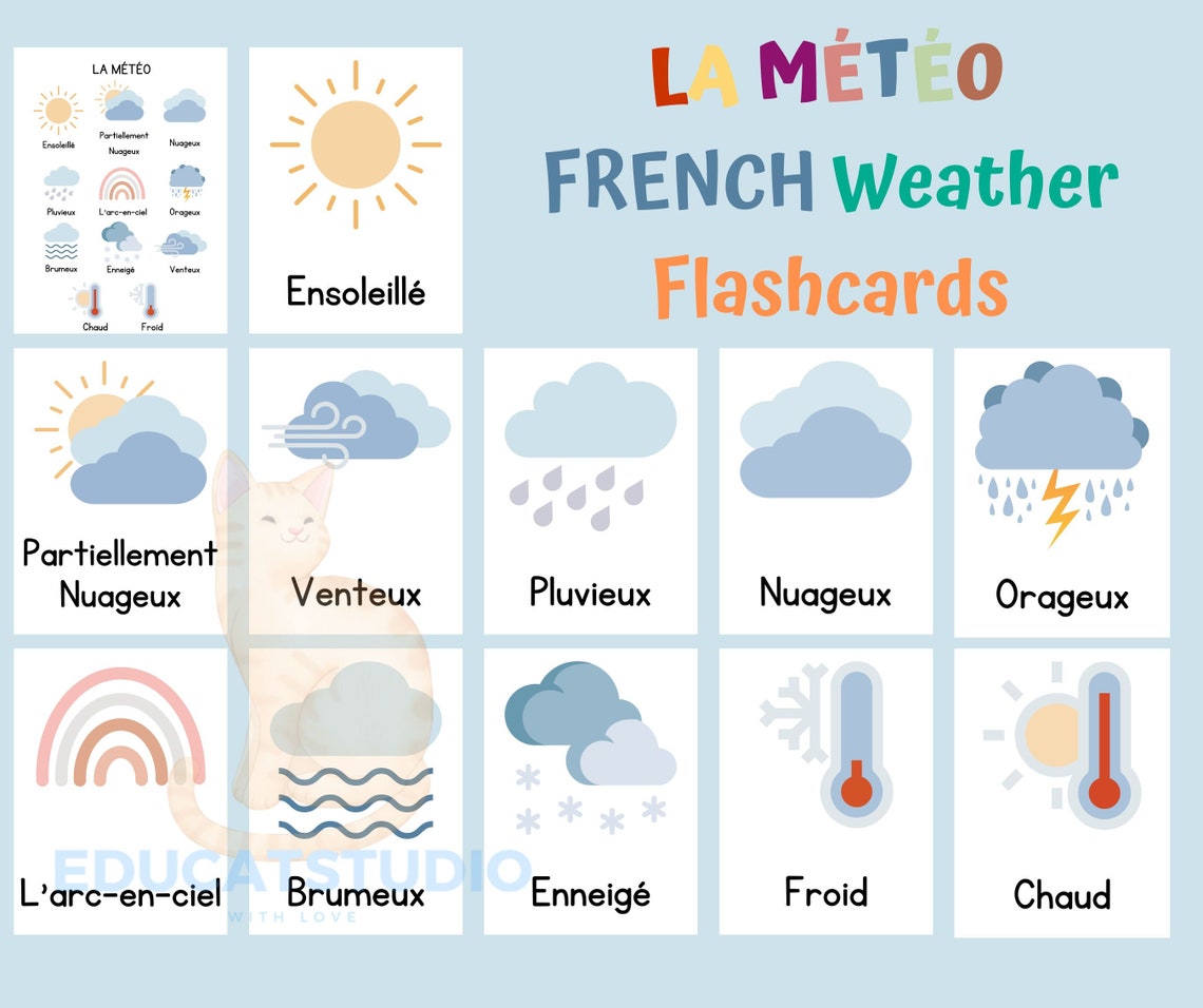La Météo Les Saisons French Weather Seasons Flashcards - Etsy
