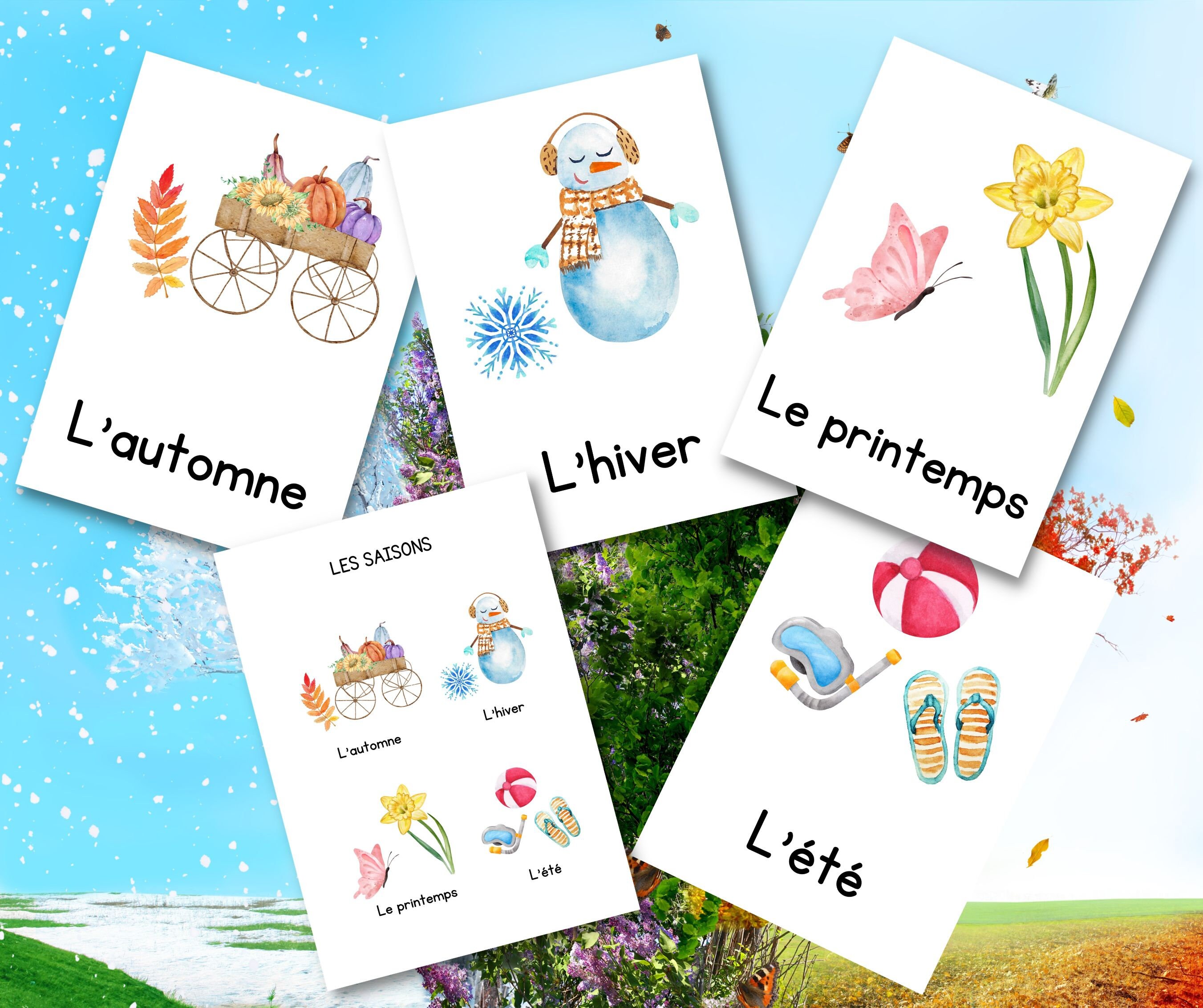 La Météo Les Saisons French Weather Seasons Flashcards - Etsy