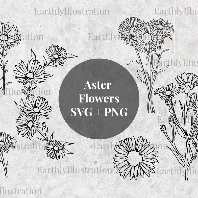 Aster Art - Etsy