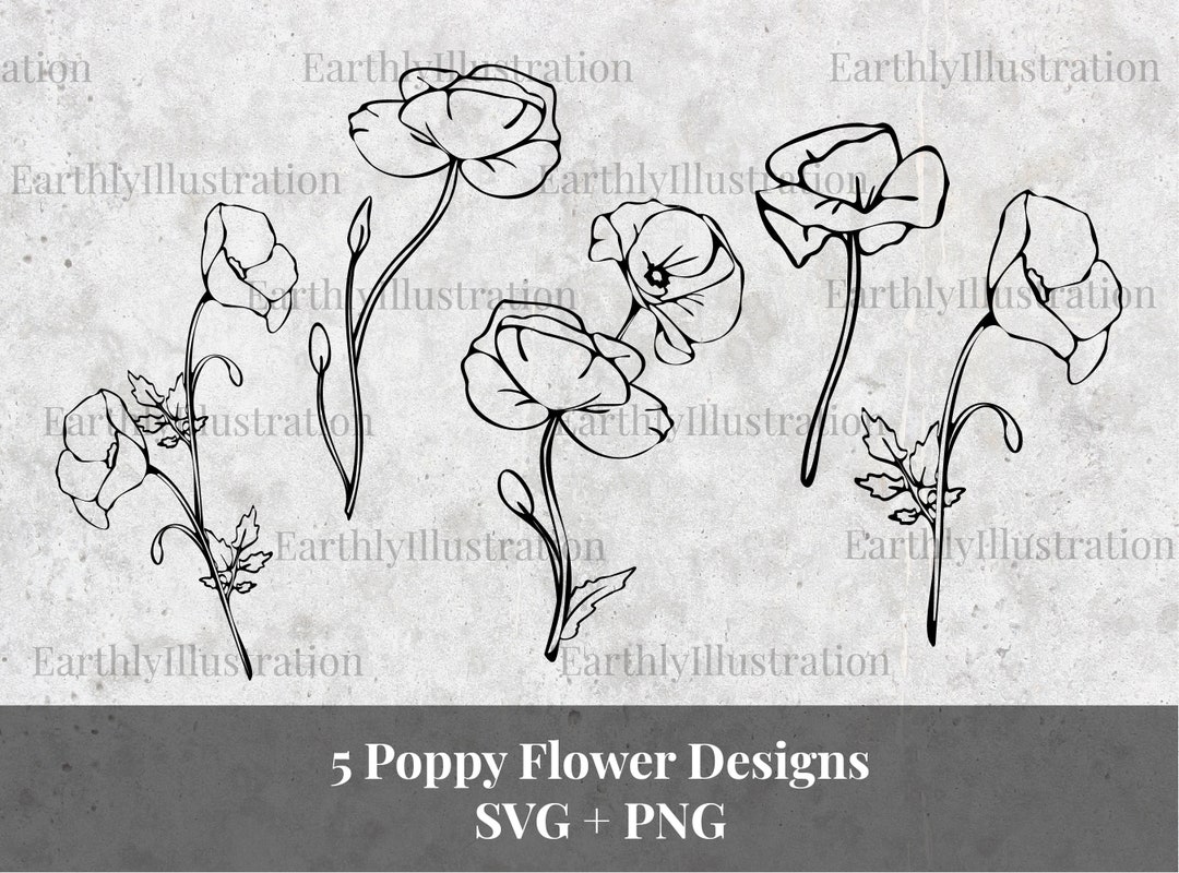 5 Poppy Flower Designs, SVG & PNG Files, Instant Download, Hand Drawn ...