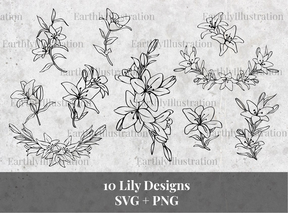 Lily Flower Bundle | 10 Lily Designs, SVG & PNG Files, Instant Download ...