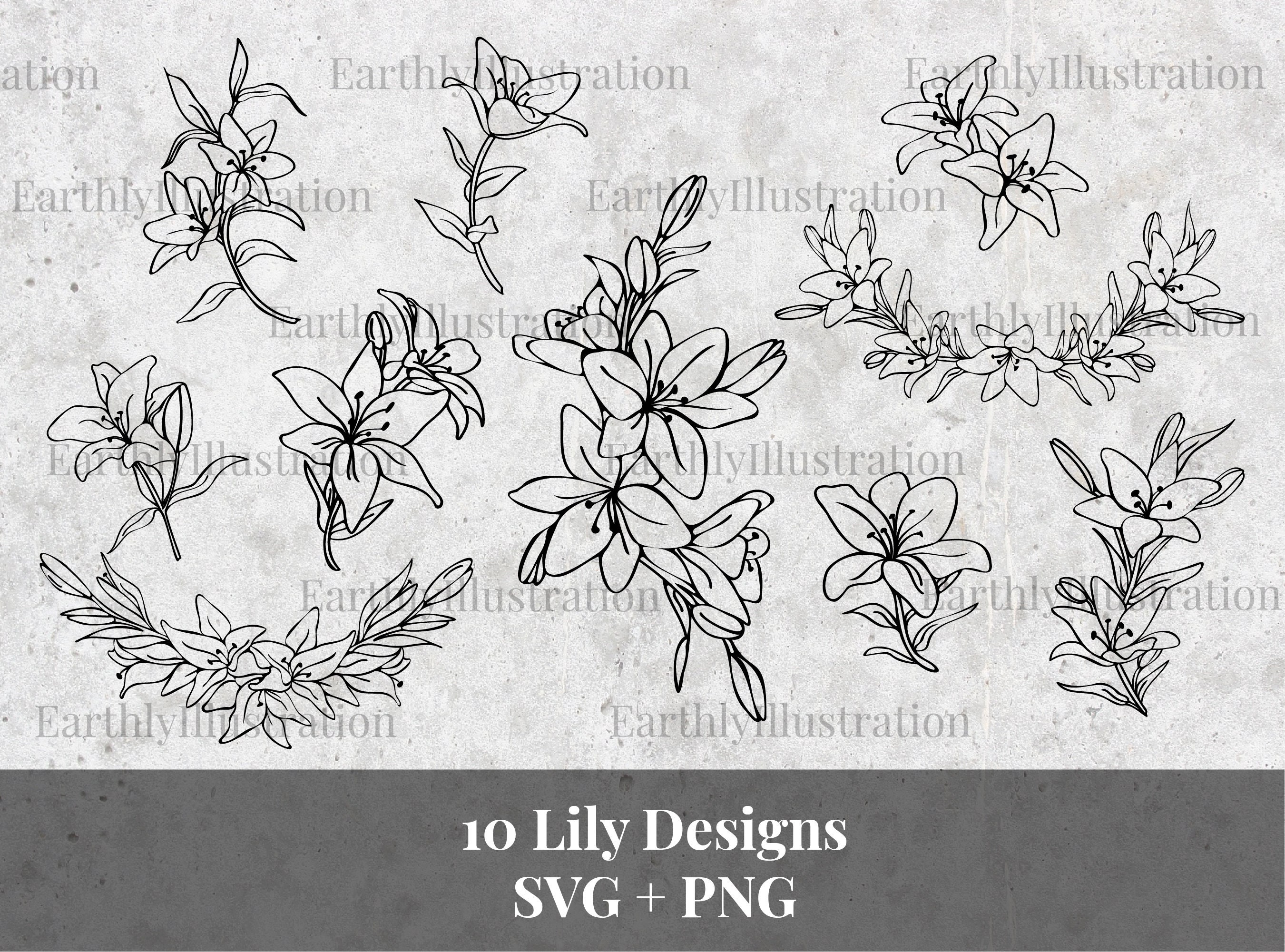 Lily Flower Bundle | 10 Lily Designs, SVG & PNG Files, Instant Download ...