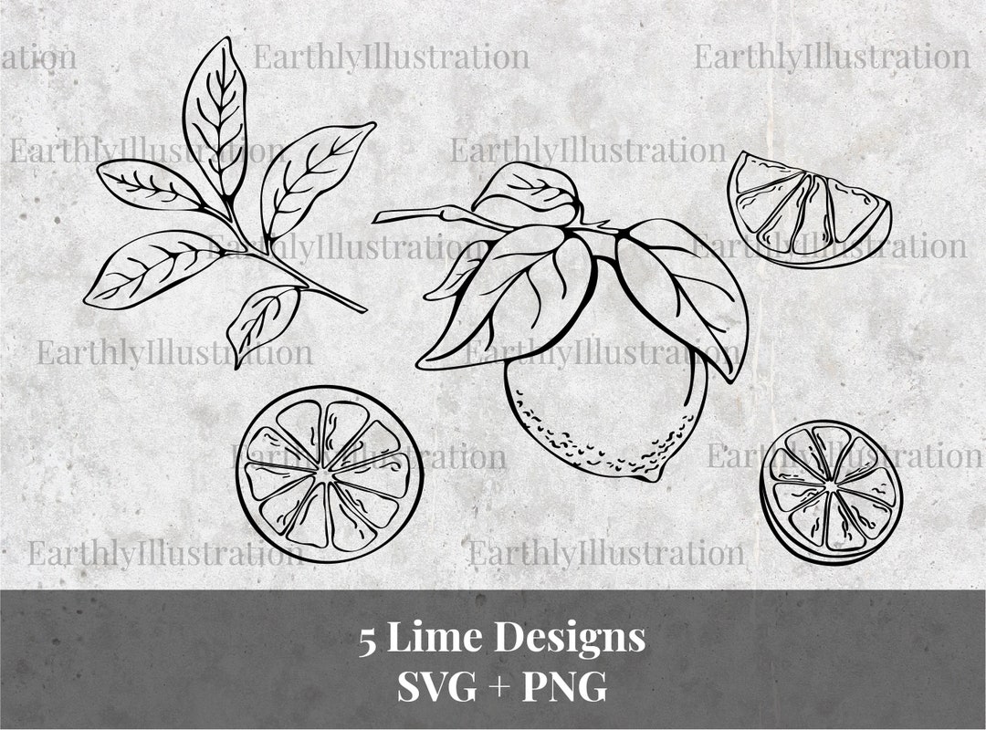 5 Lime/lemon Designs, SVG & PNG Files, Instant Download, Hand Drawn ...