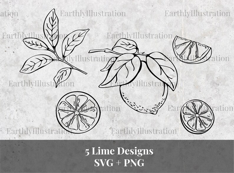 5 Lime/lemon Designs, SVG & PNG Files, Instant Download, Hand Drawn ...