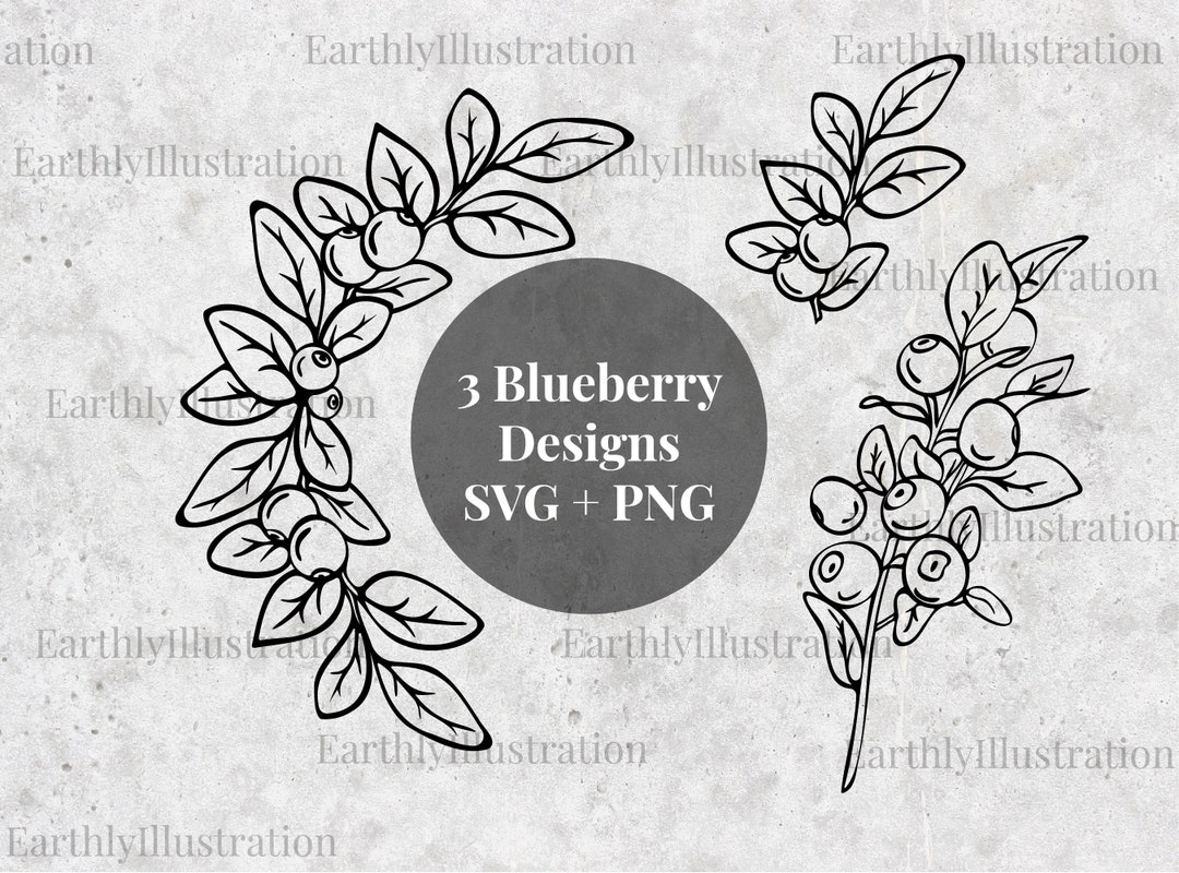 3 Blueberry Designs, SVG & PNG Files, Instant Download, Hand Drawn, for ...