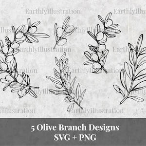 5 Olive Branch Designs, SVG & PNG Files, Instant Download, Hand Drawn ...