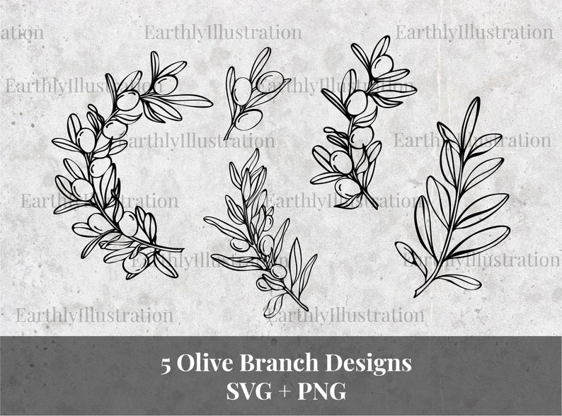 5 Olive Branch Designs, SVG & PNG Files, Instant Download, Hand Drawn ...