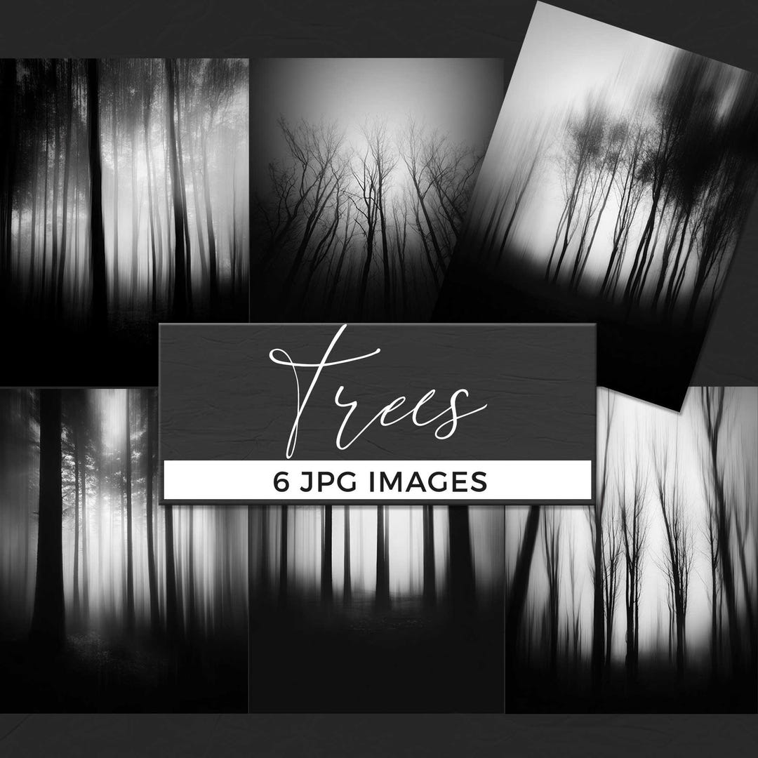 Foggy Forest Trees Backgrounds, 6 Dark Woodland Mist JPG Textures ...