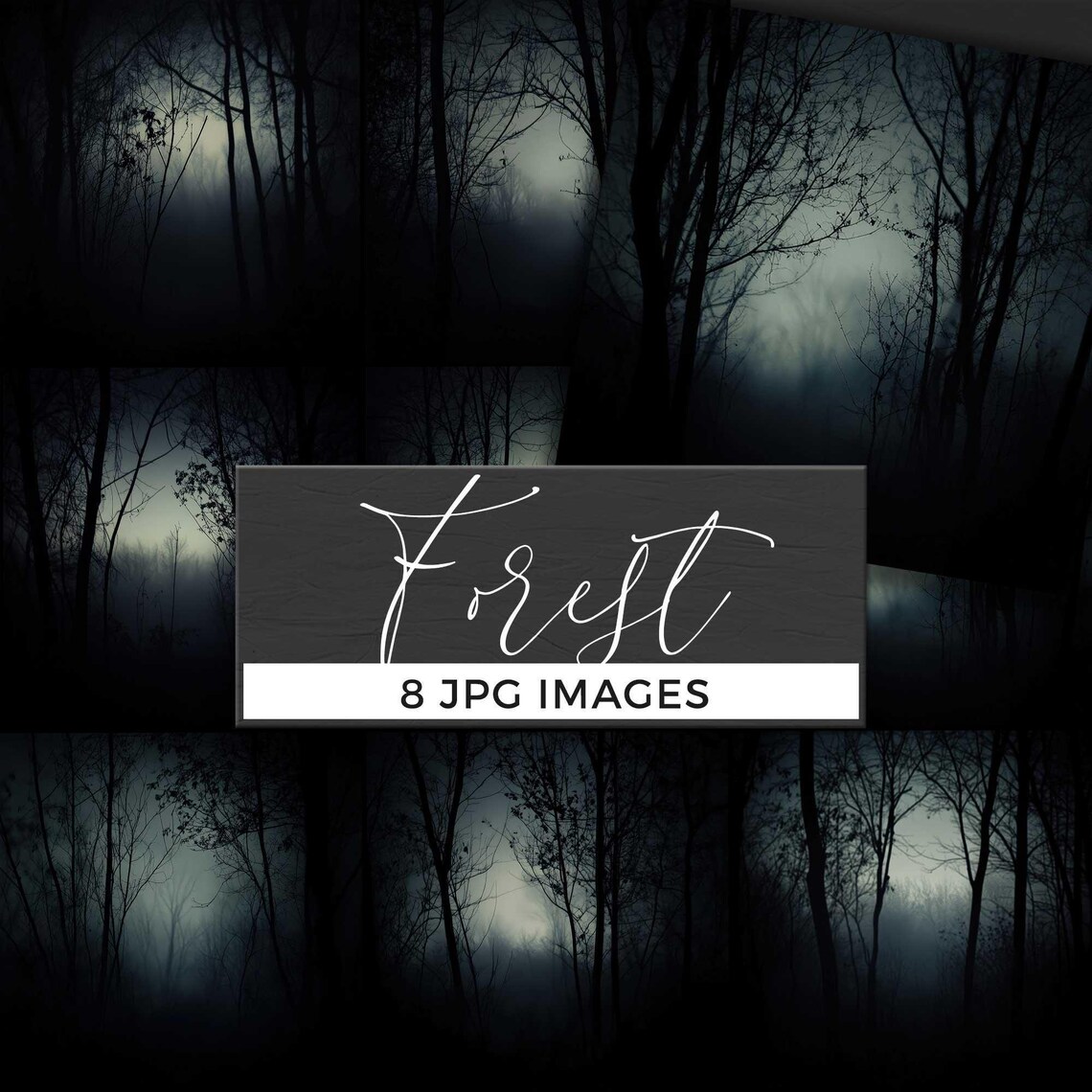 Dark Forest Backdrop, Spooky Night Background, Woodlands Overlay, Trees ...