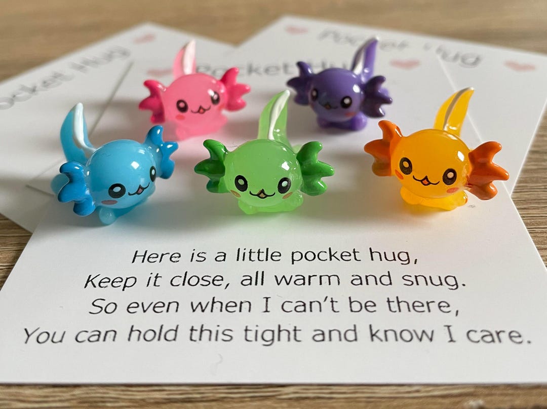 Pet Axolotl Pocket Hug Long Distance Letterbox Hug With Sentiment Card ...