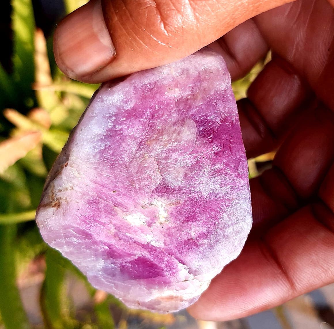 Natural Pink Sapphire Gemstone Rough Pink Sapphire Raw Rough Natural ...