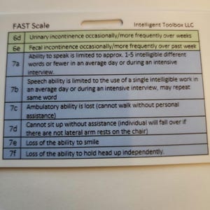 Hospice Nursing Badge Buddy: PPS & FAST Dementia Scales - Etsy