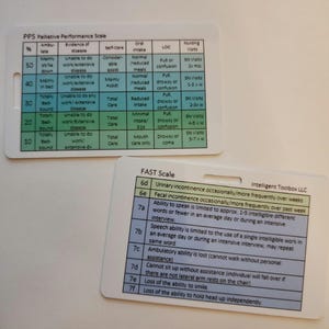 Hospice Nursing Badge Buddy: PPS & FAST Dementia Scales - Etsy