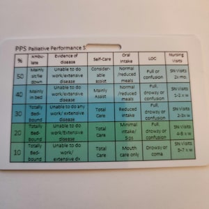 Hospice Nursing Badge Buddy: PPS & FAST Dementia Scales - Etsy