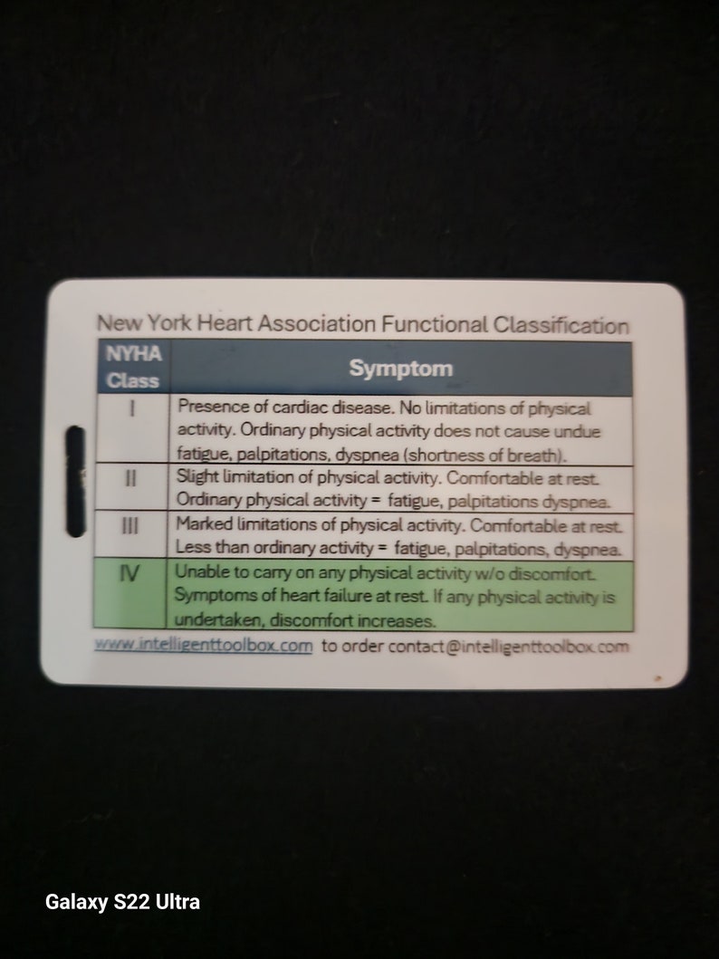 Hospice Nurse Badge Buddy: NYHA & ECOG Scale - Nurse's Gift - Etsy