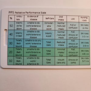 Hospice Nursing Badge Buddy: PPS & FAST Dementia Scales - Etsy