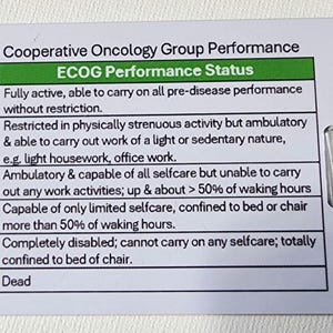 Hospice Nurse Badge Buddy: NYHA & ECOG Scale - Nurse's Gift - Etsy