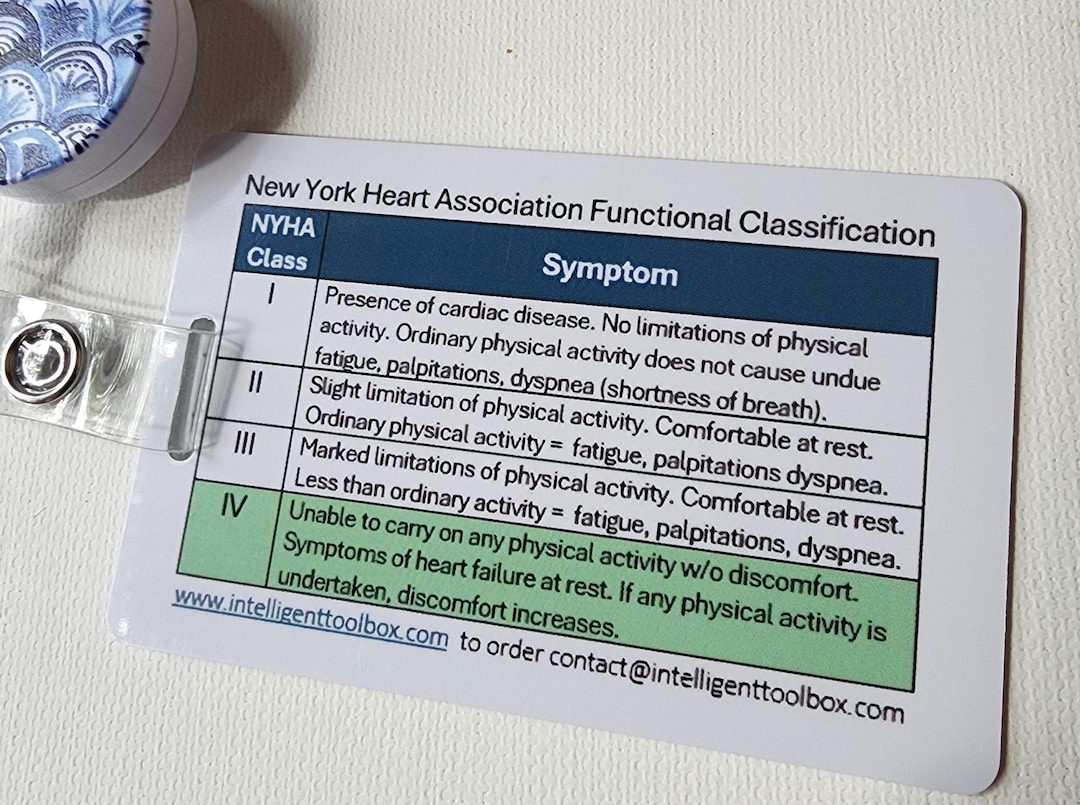 Hospice Nurse Badge Buddy: NYHA & ECOG Scale - Nurse's Gift - Etsy