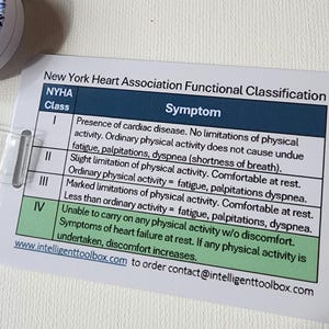 Hospice Nurse Badge Buddy: NYHA & ECOG Scale - Nurse's Gift - Etsy