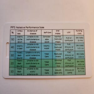 Hospice Nursing Badge Buddy: PPS & FAST Dementia Scales - Etsy