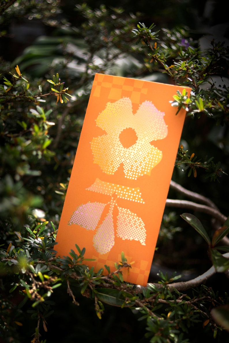 Red Envelope CNY | Chinese New Year Red Packet Money Envelope | Hong ...