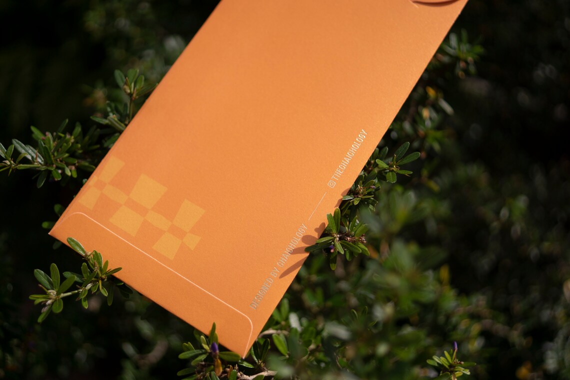 Red Envelope CNY | Chinese New Year Red Packet Money Envelope | Hong ...