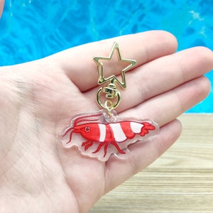 Cute Shrimp Keychains, Double-sided Acrylic, Glitter . Great for Any ...