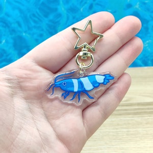 Cute Shrimp Keychains, Double-sided Acrylic, Glitter . Great for Any ...