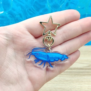 Cute Shrimp Keychains, Double-sided Acrylic, Glitter . Great for Any ...