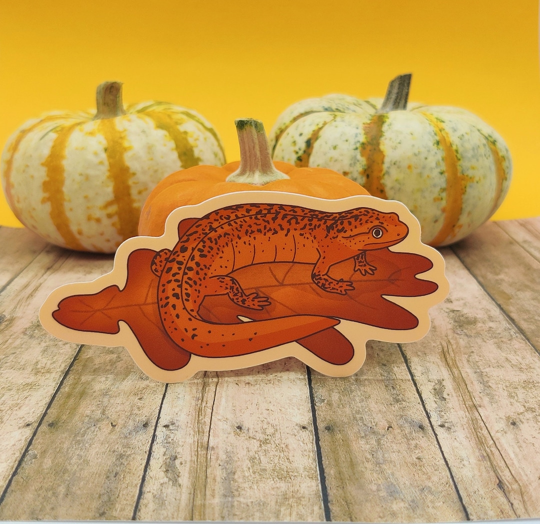 Red Salamander Sticker, Waterproof Vinyl, Fall Oak Leaf - Etsy