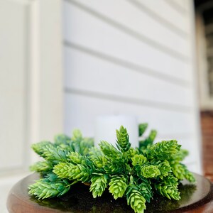 Mini Hops Wreath, Home Bar Decor, Greenery Wedding Centerpiece, Simple ...