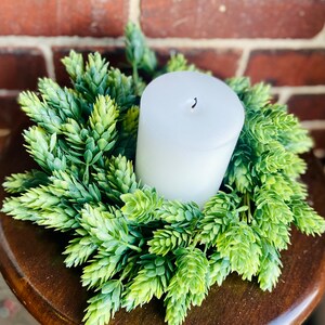 Mini Hops Wreath, Home Bar Decor, Greenery Wedding Centerpiece, Simple ...