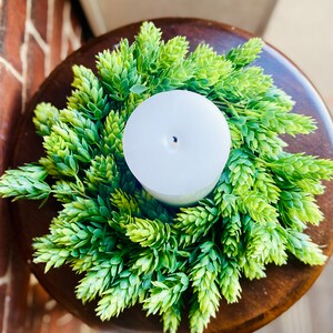 Mini Hops Wreath, Home Bar Decor, Greenery Wedding Centerpiece, Simple ...
