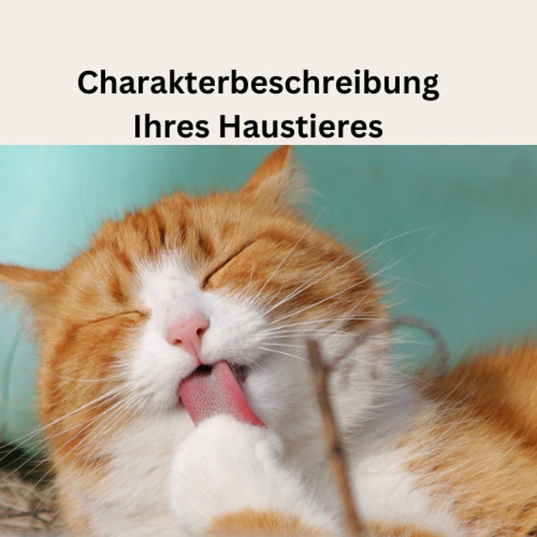 Animal Communication - Character Description - Etsy