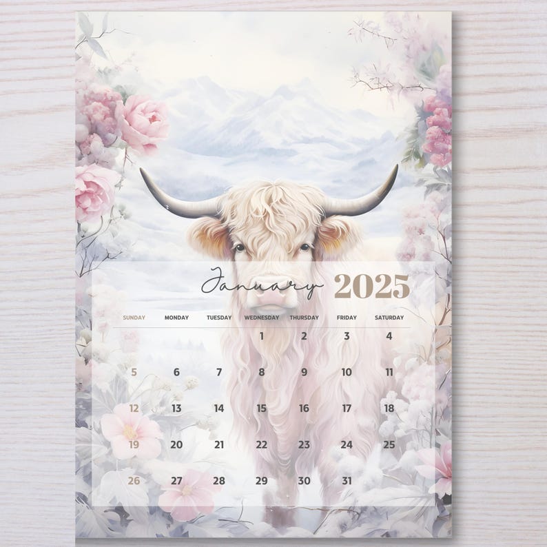 2025 Highland Cow Desk Calendar, 2025 Highland Cow Calendar ...