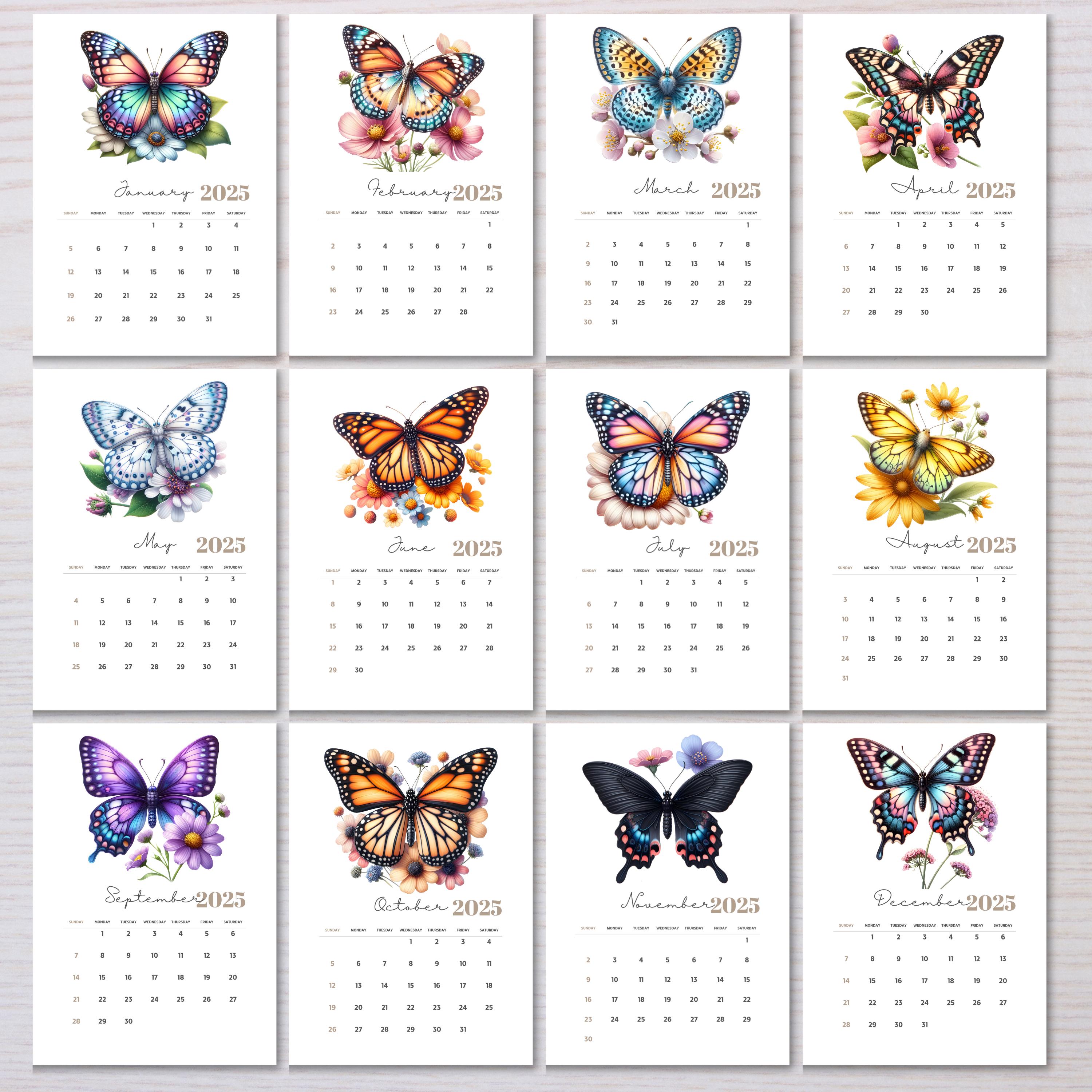 2025 Butterfly Desk Calendar With Acrylic Stand, Colorful Butterfly ...