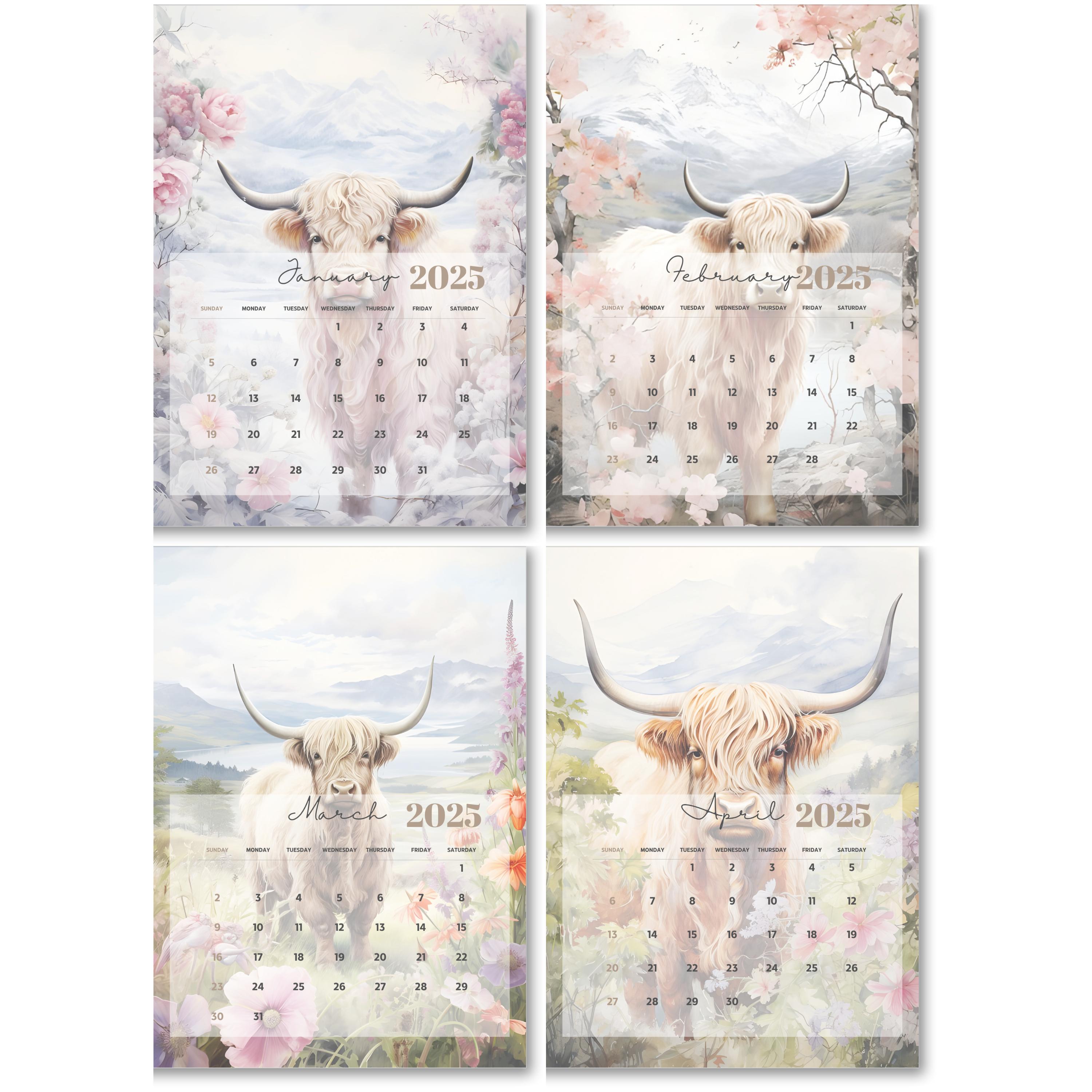 2025 Highland Cow Desk Calendar, 2025 Highland Cow Calendar ...