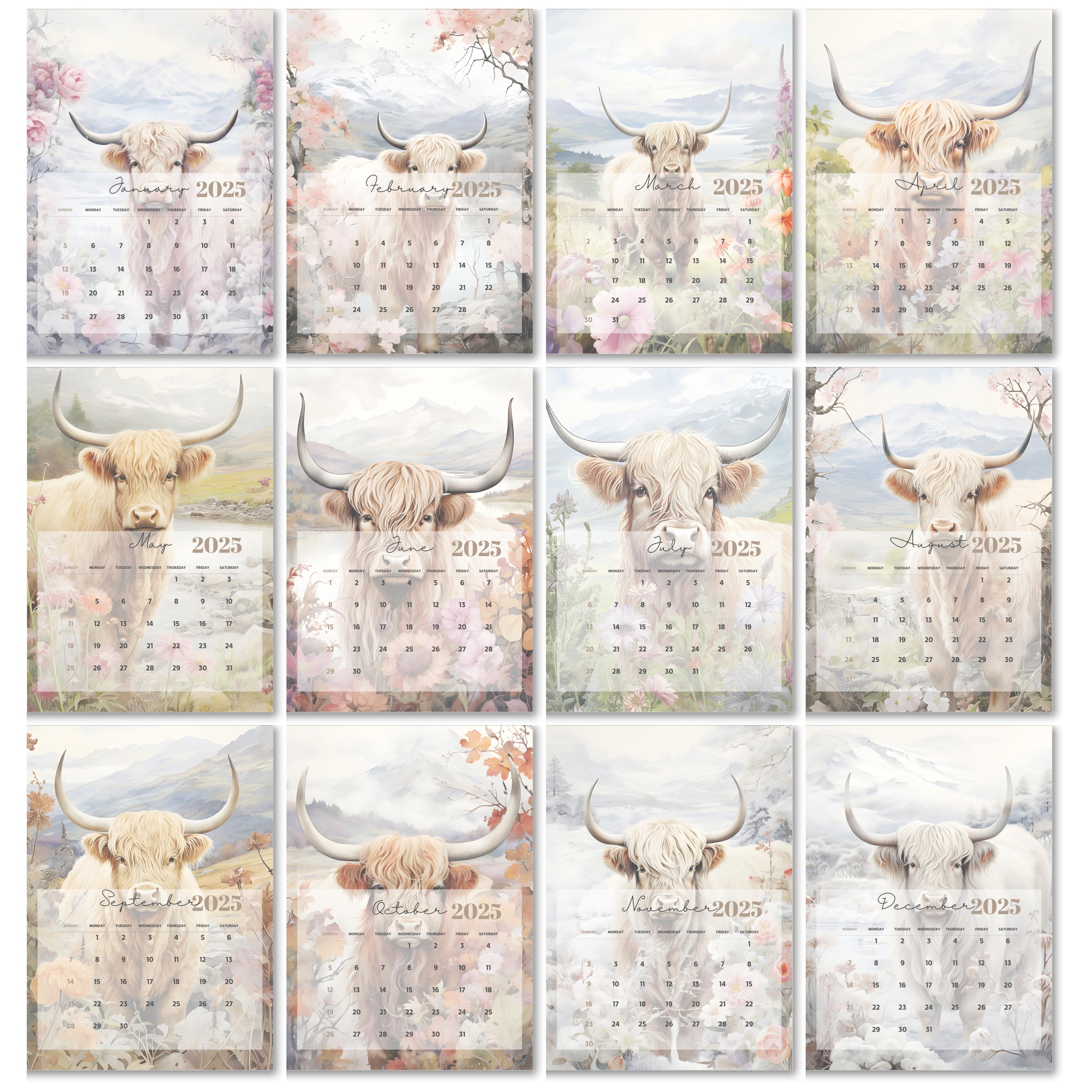 2025 Highland Cow Desk Calendar, 2025 Highland Cow Calendar ...