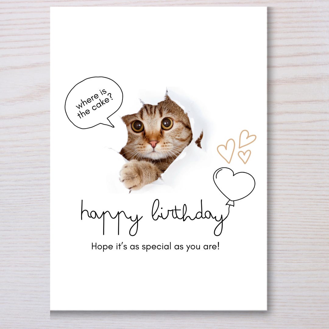 Funny Cat Birthday Card – Personalized Cat Lover Greeting Card, Cute ...