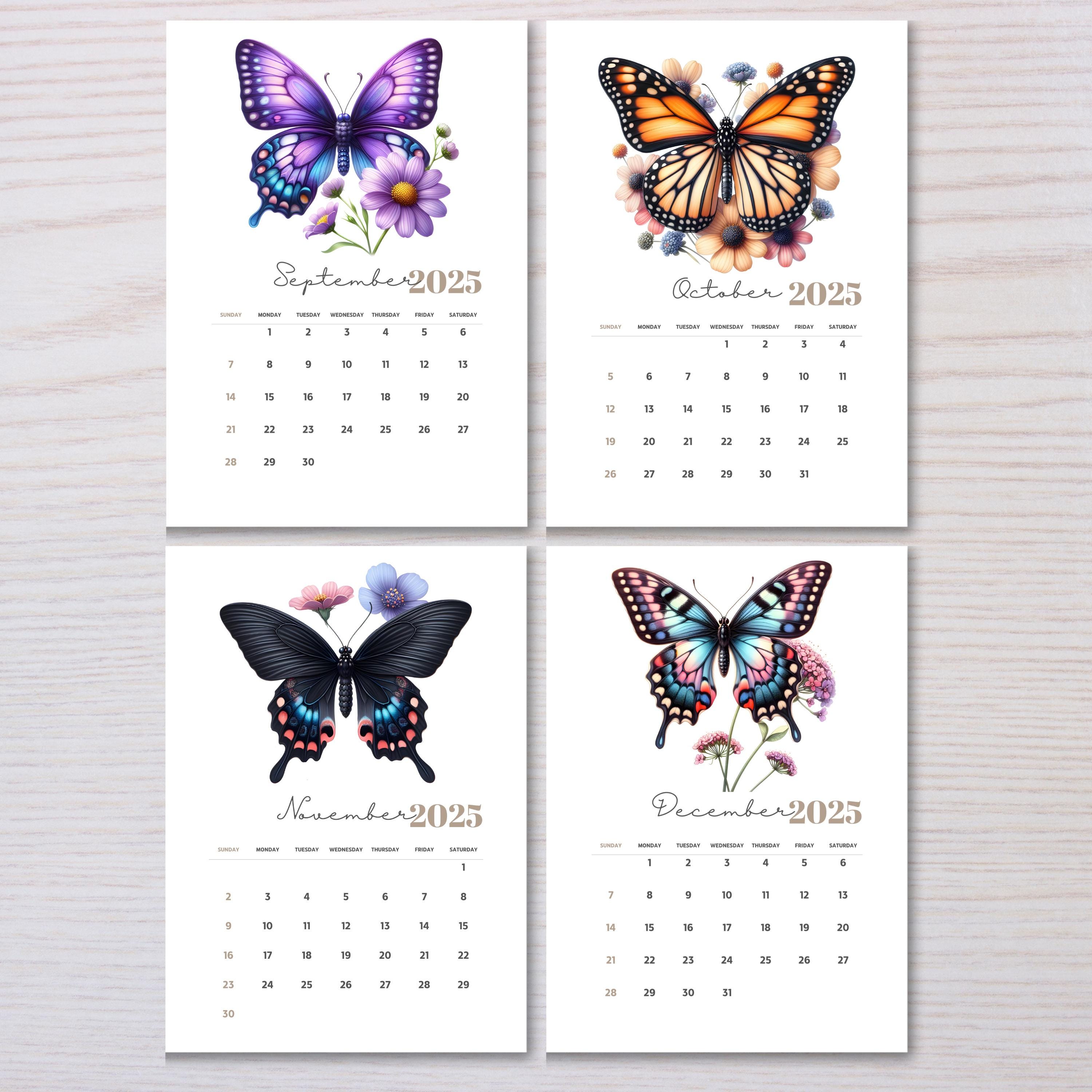 Butterfly Desk Calendar 2026, Floral Art, With Acrylic Stand - Etsy