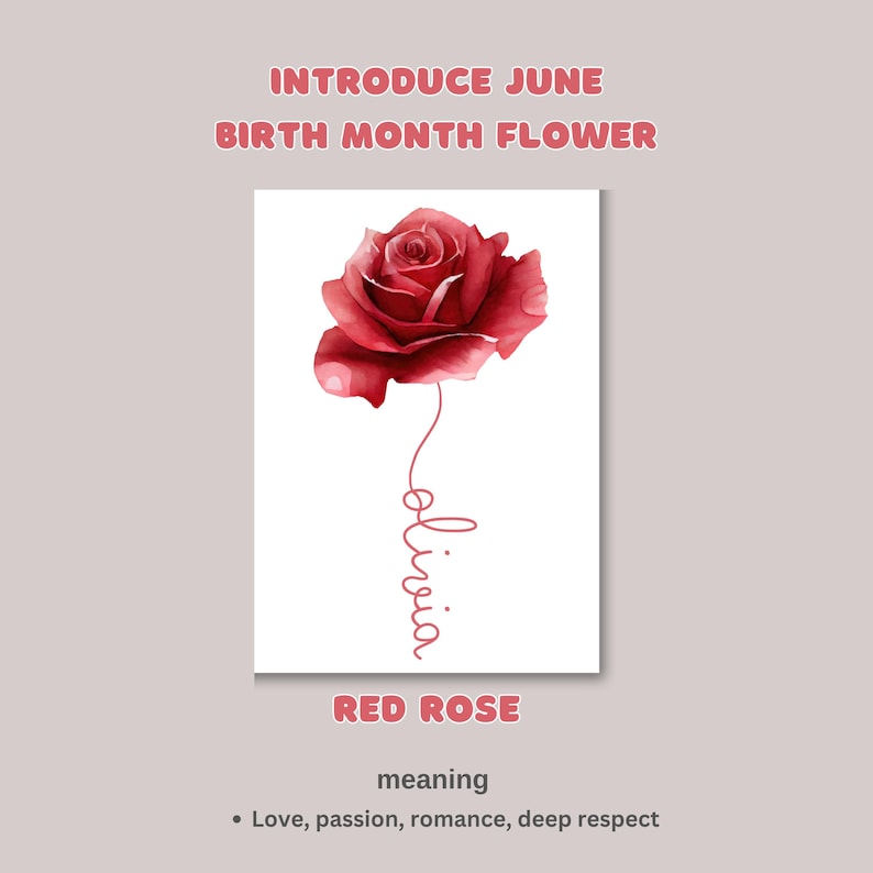 Personalized June Birth Flower Card, Red & Pink Rose, Handmade ...