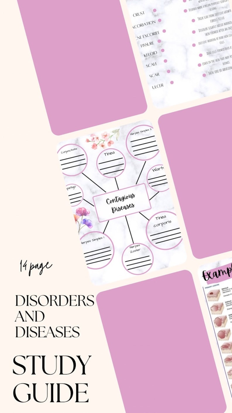 Esthetician Student 14 Page Downloadable/ Digital Study Guide - Etsy