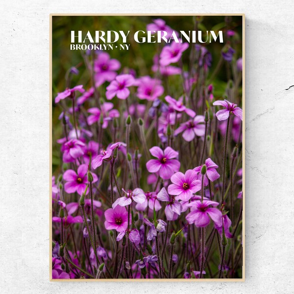 Geranium Print - Etsy