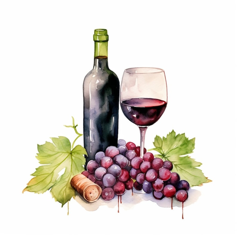20 Wine Glass Bottle Watercolor Cocktail Grape Clipart Digital ...