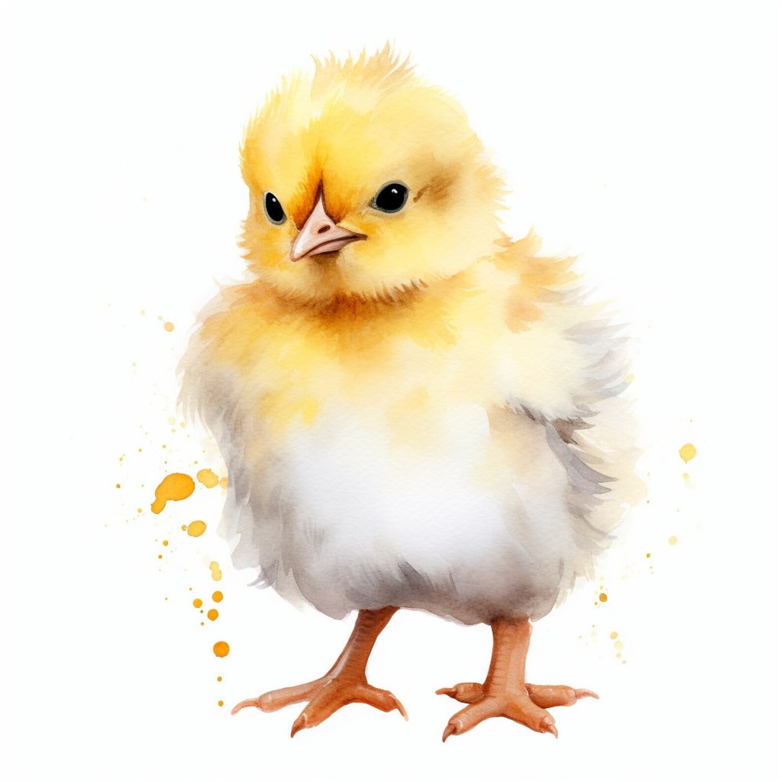 Watercolor Baby Chick Clipart Art Printable 20 High Quality Jpgs ...