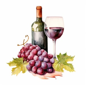 20 Wine Glass Bottle Watercolor Cocktail Grape Clipart Digital ...