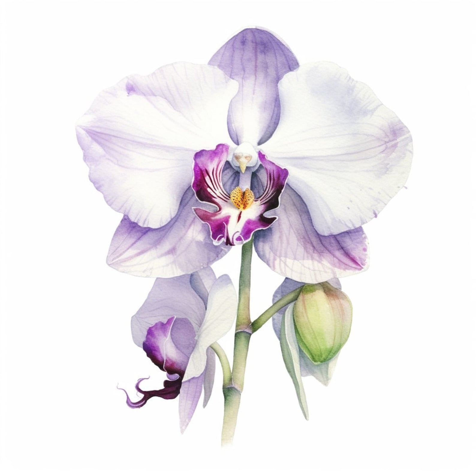 Watercolor Orchid Clipart 20 Printable High Quality Jpgs - Etsy