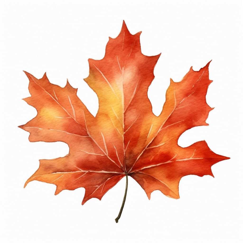 Watercolor Fall Leaf Clipart Art Printable 20 Digital Downloads - Etsy