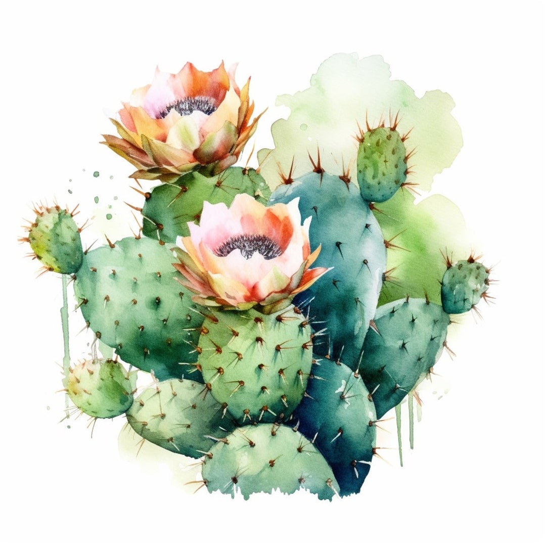 Watercolor Cactus Clipart Flowers 20 Printable Digital Downloads - Etsy