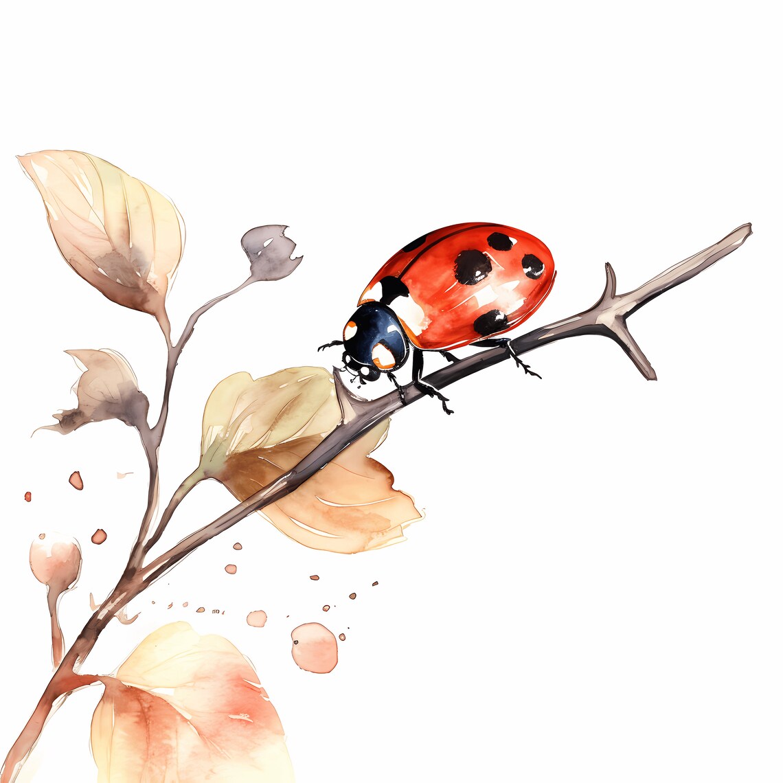 13 Watercolor Ladybug Clipart Images Digital Downloads - Etsy